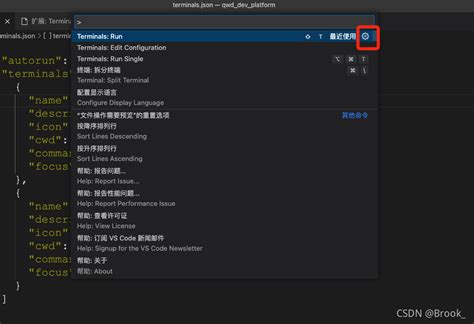 vscode快捷键启动多terminal vscode terminaloptions csdn博客