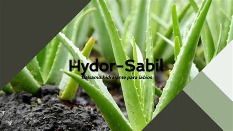 Hydor Sabil Genially