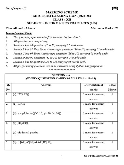 Xii Infomatics Practices Doc M Pdf Computer Science Computing