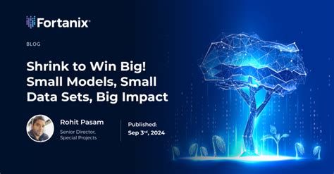 Small Models Small Data Sets Big Impact Patrick Van Helden