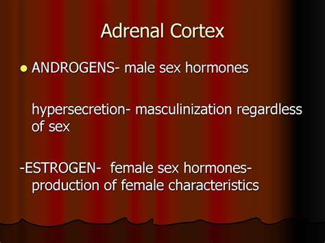 Endocrine System Endocrine Glands Secrete Chemical Messages Into The