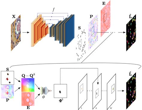 論文レビュー Instanseg An Embedding Based Instance Segmentation Algorithm Optimized For Accurate