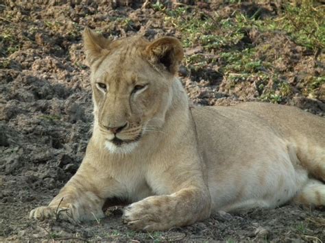 Innocent Namboole Malambo Posted On Linkedin