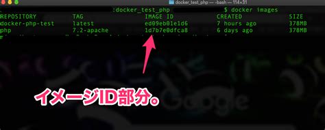 Basic Usage Of Docker Image Id ソロメイカー