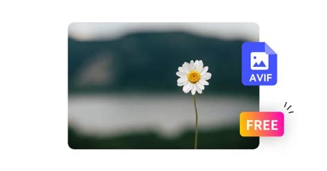 AVIF Converter Online Convert AVIF To PNG And More