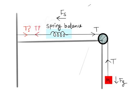 homework and exercises direction of tension force and restoring force