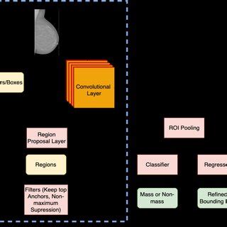 Flow Chart Of The Faster R CNN Showing The Region Proposal Network Download Scientific Diagram