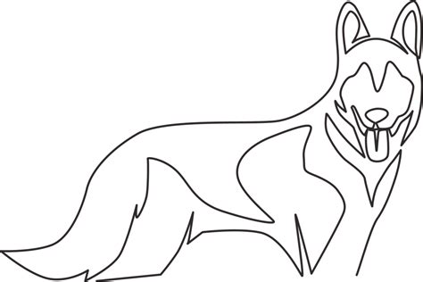 Animal Line Drawing Pngs For Free Download