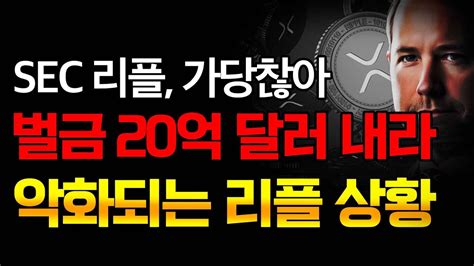 SEC 리플 가당찮아 벌금 억 달러 내라 악화되는 리플 상황 YouTube