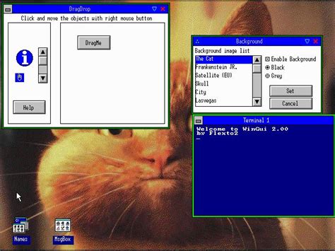 GUI Reviews WinGui 2 00 Build 1