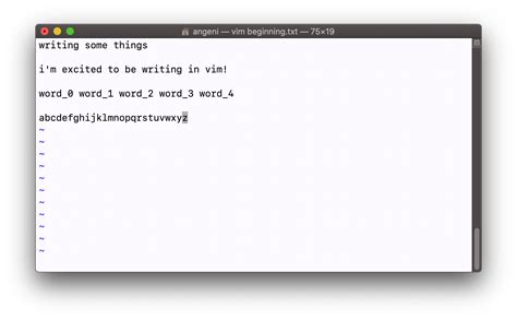 Beginners Guide To Vim The Basics