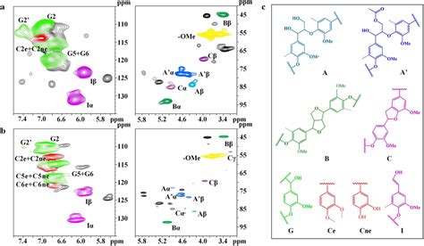 2d Hsqc Nmr Spectra Of Dhp A A Dhp X B And The Main Classical