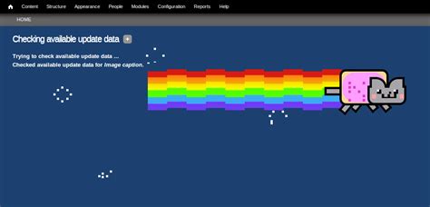 Nyan Cat Progress Bar