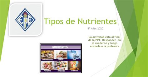 Tipos De Nutrientes Escuelaprimitivaecheverria Cl · Tipos De Nutrientes 8º Años 2020 La