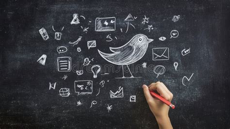 Una Persona Dibujando Un Pájaro En Una Pizarra Stock De Ilustración Ilustración De Negocios