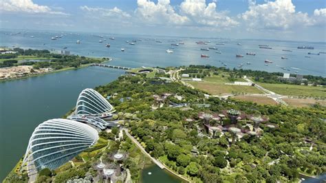 【新加坡必遊】濱海灣花園天空樹燈光秀、空中走廊、最佳觀賞位置