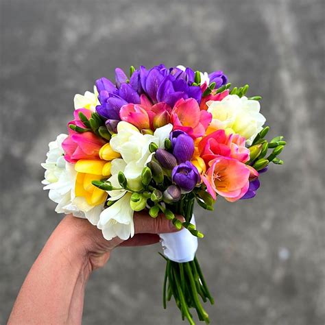 Top 12 Friendship Flowers To T Your Best Friend