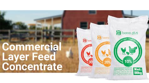 Bornaplus Layer Feed Concentrate Boost Egg Production And Quality