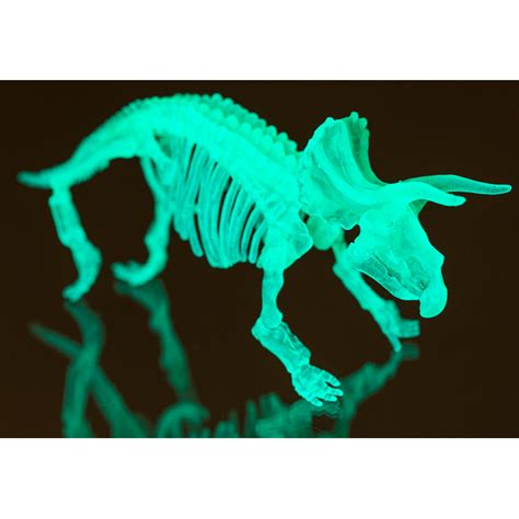 Diy Dinosaur Skeleton Assembly Kit Approx 10 Cm 592194 Out Of