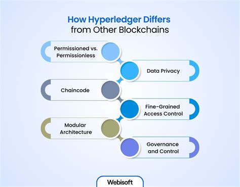 What Is Hyperledger In Blockchain Everything You Need To Know