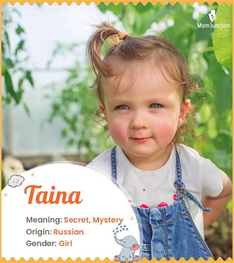 Taina Name Meaning Origin History And Popularity