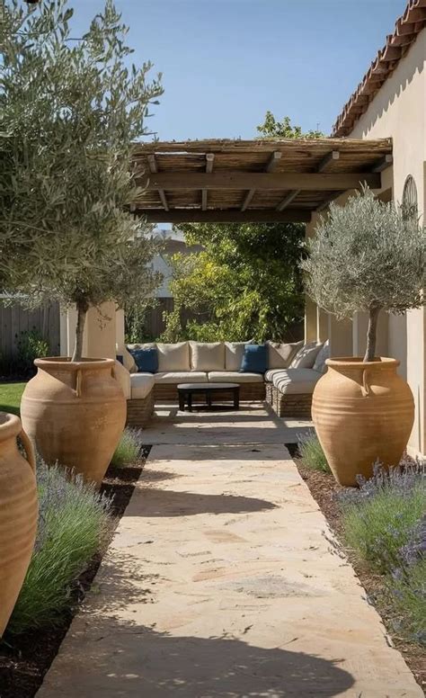 Patio With Olive Tree Patio With Large Plants Patio With Large