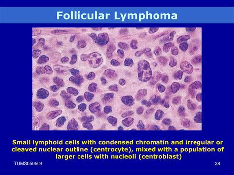 Department Of Pathology Untad Ppt Download