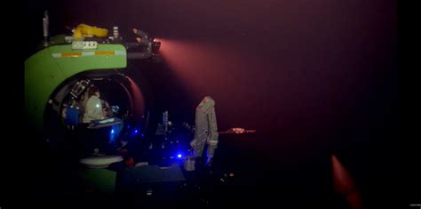 Edie Widder In A Submersible With A Humboldt Squid Just Outside R Squid