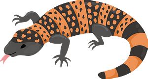 Gila Monster Free Vector Clipart Images On
