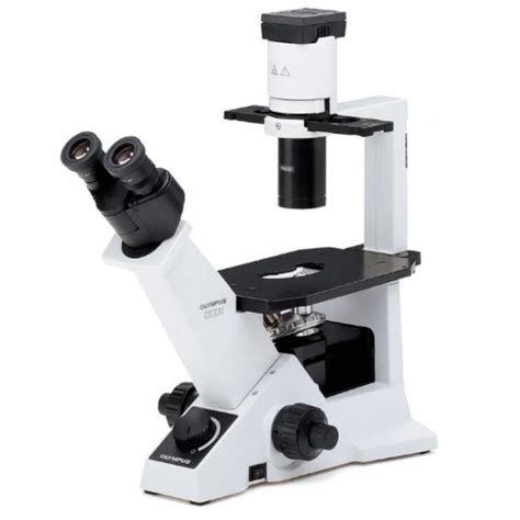 Evident Olympus Inverted Microscope Ckx31 Bright Field Hal Bino 40x