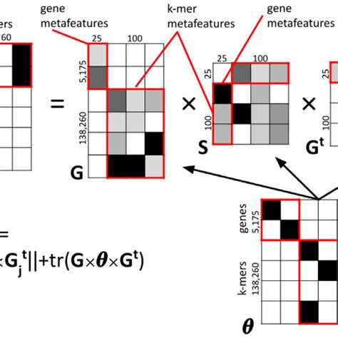 The Matrix Tri Factorization Scheme Amr Non Amr And Amr Homologous