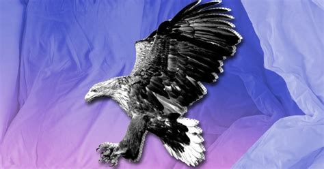 What Is Eagle With A Broken Wing Love Island Paiges Fave Sex Position Metro News