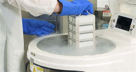 Liquid Nitrogen Tank Cell Storage