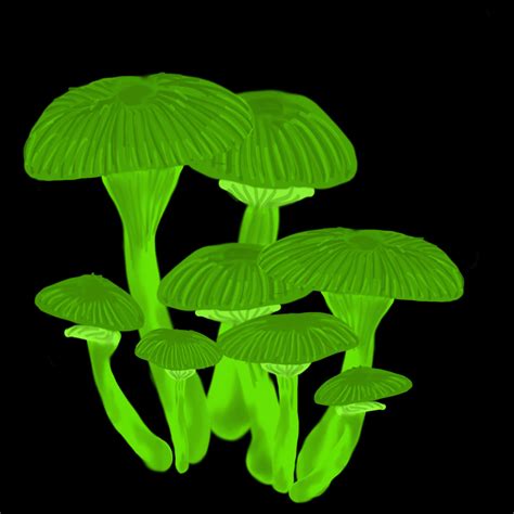 Data Visualisation Redesign On Behance