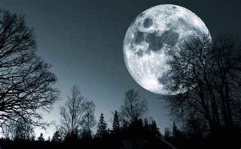 Pictures Of Dark Night With Full Moon At Gertrude Westley Blog