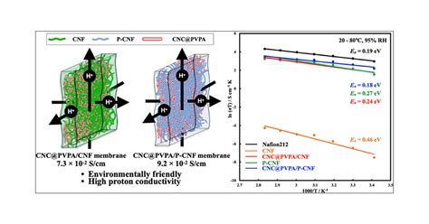 Highly Proton Conductive Membranes Based On Polyvinylphosphonic Acid Coated Cellulose