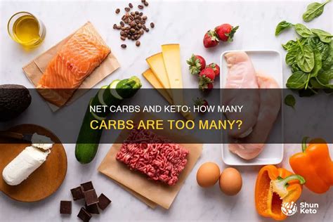 Net Carbs And Keto How Many Carbs Are Too Many Shunketo