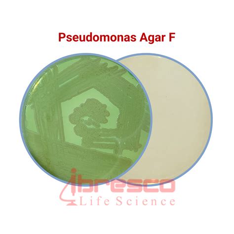 Pseudomonas Agar F Ibresco