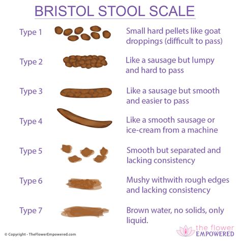 Printable Bristol Stool Chart