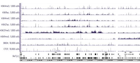 Low Cell Chip Seq Kit For Histone And Transcription Factors