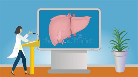 Doctor In Lecture About Liver Vector Illustration Stock Vector