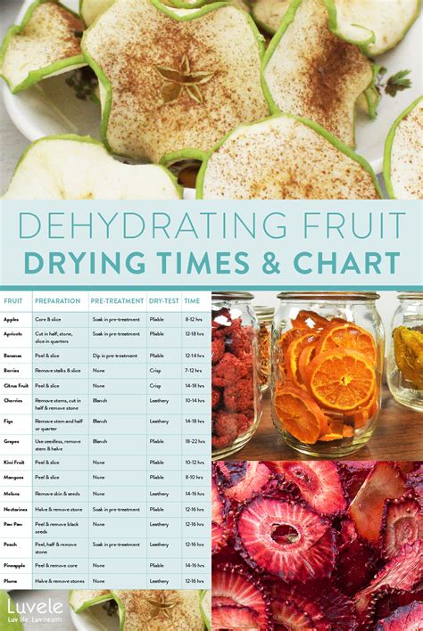 Dehydrating Fruit Pretreatment And Drying Times Chart Luvele Us
