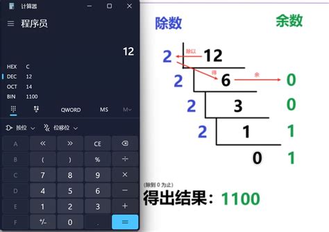 数据进制的表示及转换0d、0b、0o、0x是几进制 Csdn博客