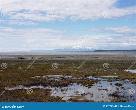 Mount Susitna The Sleeping Lady Stock Image Image Of Alaska Anchorage 117775649