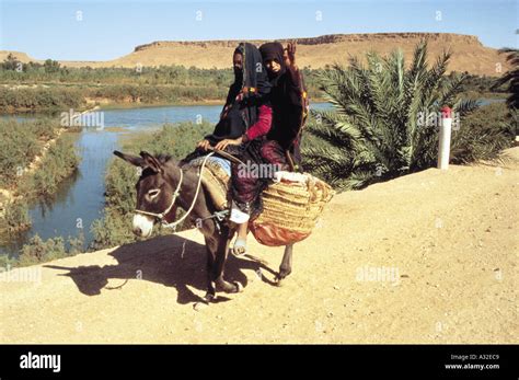Two Women Riding A Donkey In The Ziz Valley Tafilalet Morocco Stock