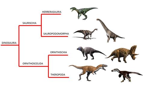 Mundo Pré Histórico Dinossauros Dinosauria