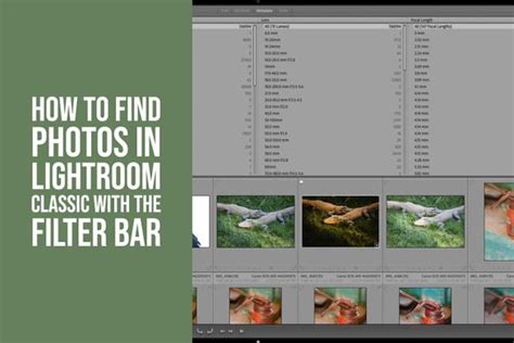 How To Use The Show Focus Points Plugin In Lightroom Classic