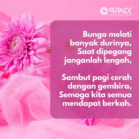 Qpack Hq Sp Qpackhqsp • Instagram Photos And Videos