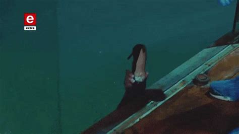 Doodsondes 3 Teasers For April 2021 Lila And Yigit Get Married