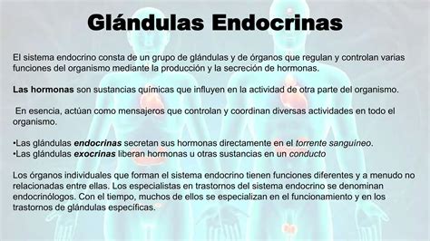 Sistema Endocrinopptx